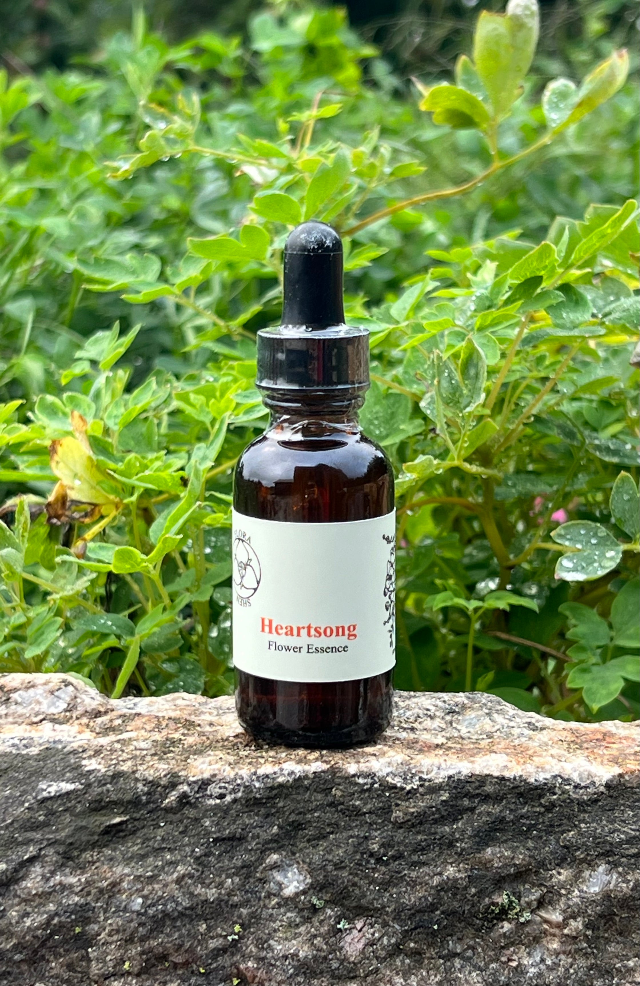 Heartsong Flower Essence – Flora Shen